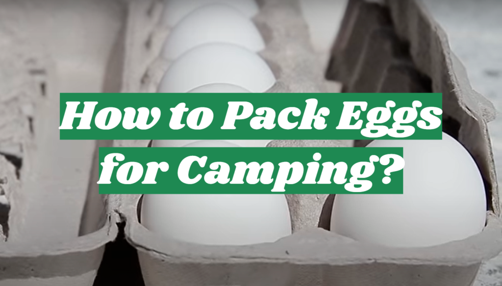 How to Pack Eggs for Camping? - OutdoorProfy
