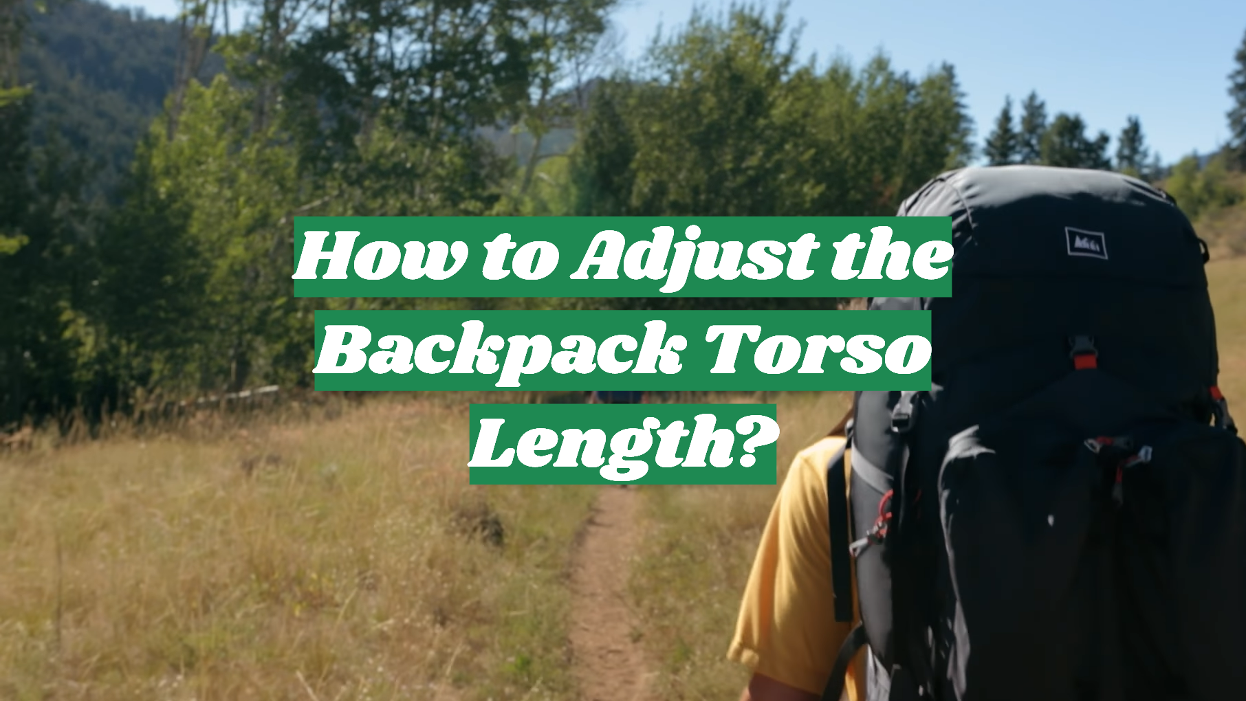 How to Adjust the Backpack Torso Length? - OutdoorProfy