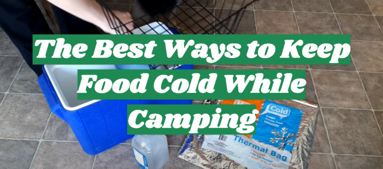 The Best Ways to Keep Food Cold While Camping - OutdoorProfy